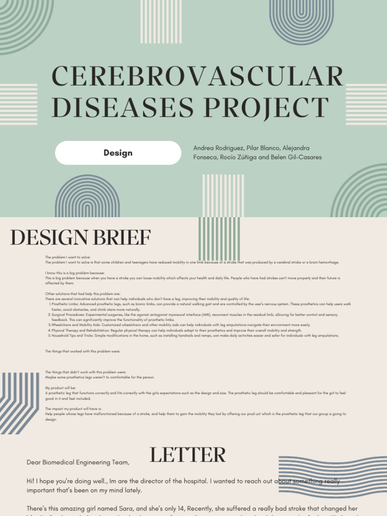 Designbrief.rozp 2 | PDF | Prosthesis | Stroke