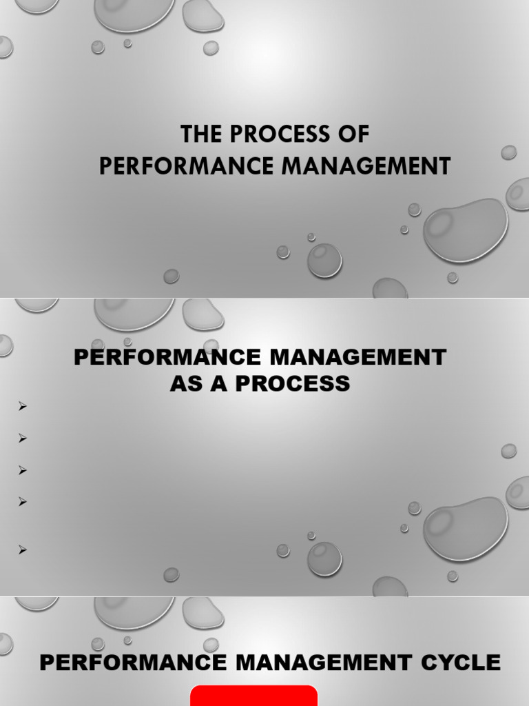 Process of Performance Management | PDF | Performance Appraisal ...