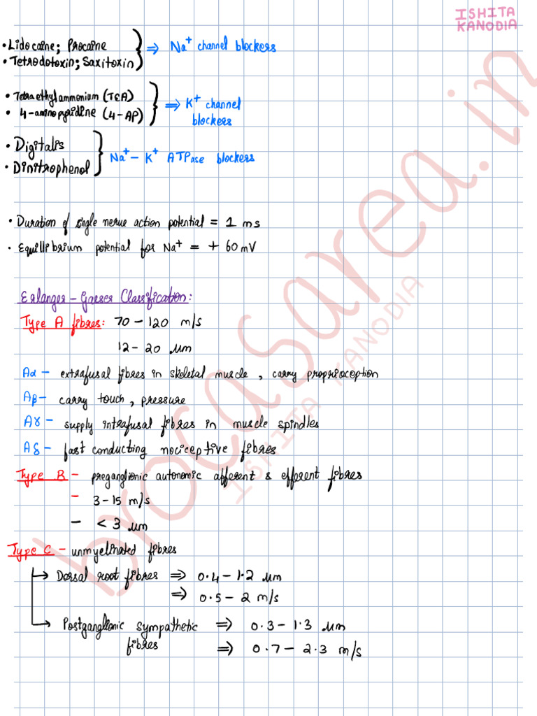 Important Points On NMP | PDF | Acetylcholine | Skeletal Muscle