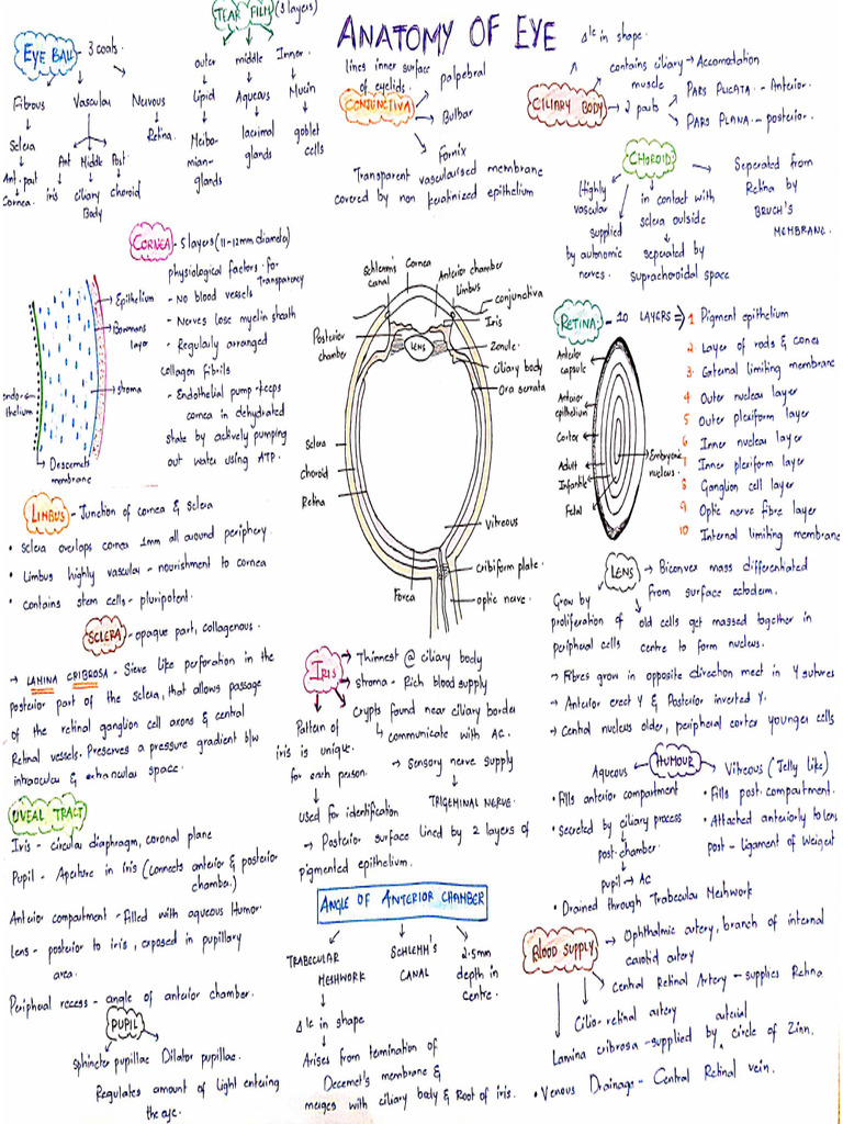 Ophthalmology - Concept Map Book | PDF