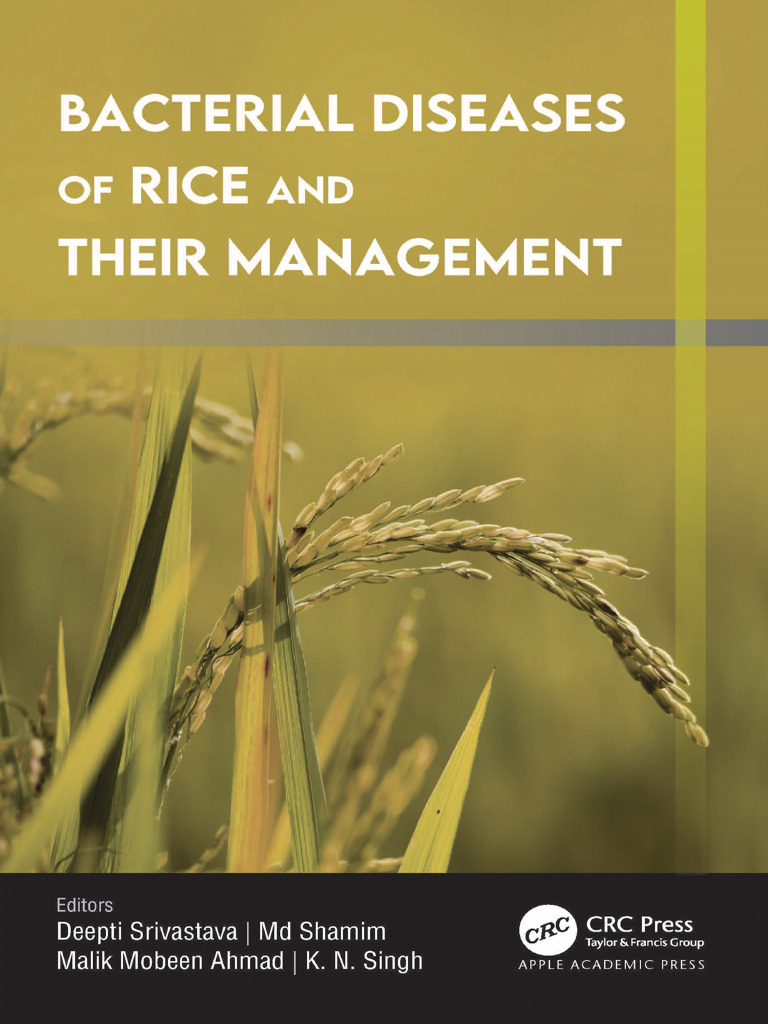Wa0006. | PDF | Rice | Bacteria