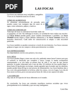 Focas Bebés | PDF | Pinnípedo | Hembra