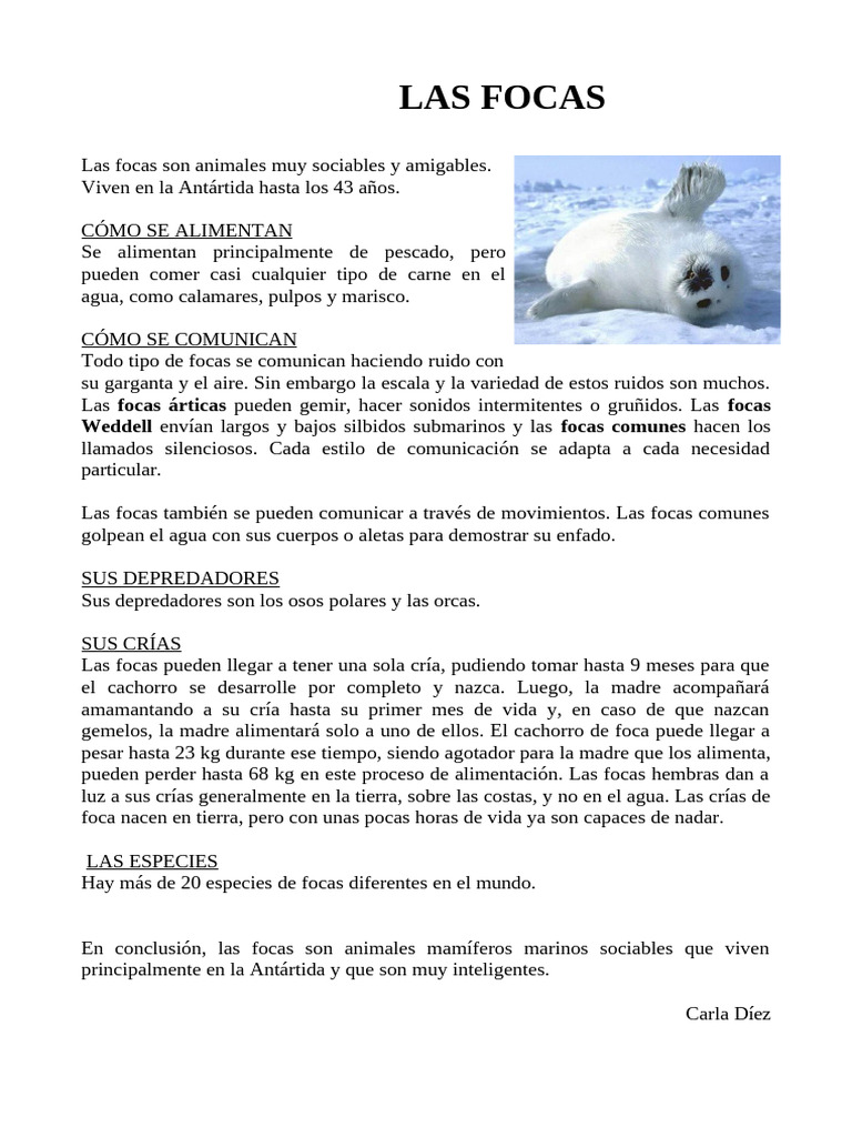 04 Texto Expositivo Las Focas Carla | PDF