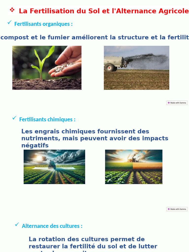 La Fertilisation Du Sol Et l'Alternance Agricole Khadija Hoissine (1) | PDF