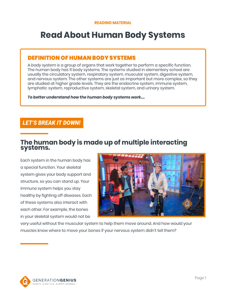 Human Body Systems Reading Material Grades 3 5 | PDF | Human Body ...