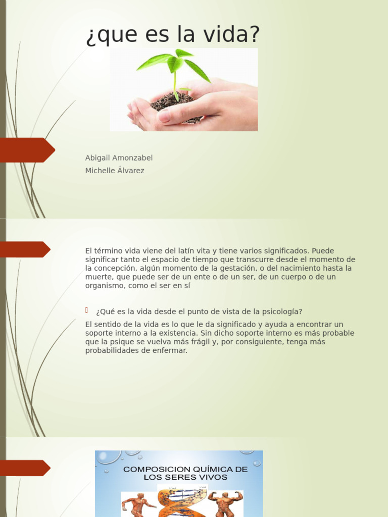 Que Es La Vida | PDF