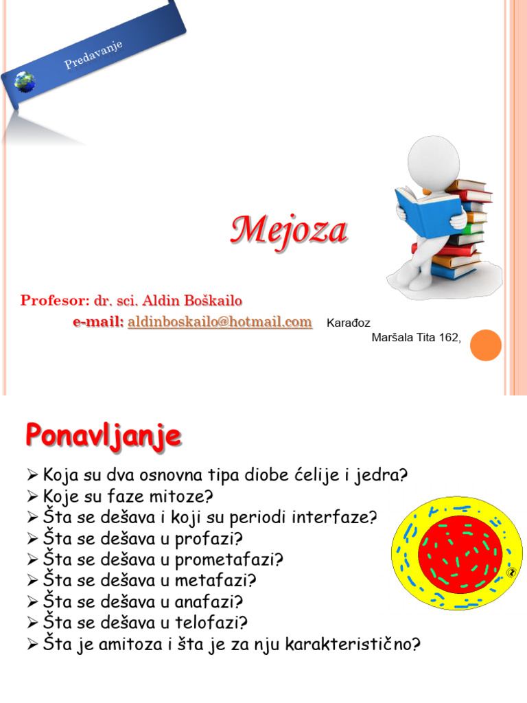 Mejoza-61fb7f7 | PDF