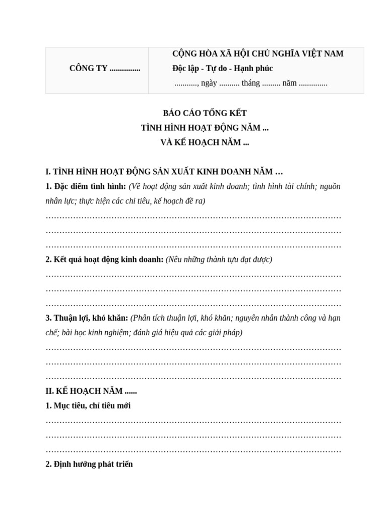 BC Cong Ty Nam 2024 | PDF