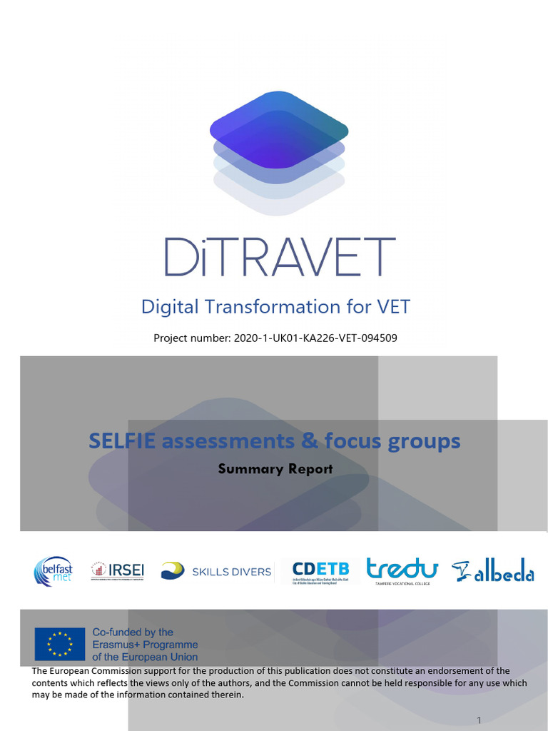 Summary Report - SELFIE & FG | PDF | Focus Group | Teachers