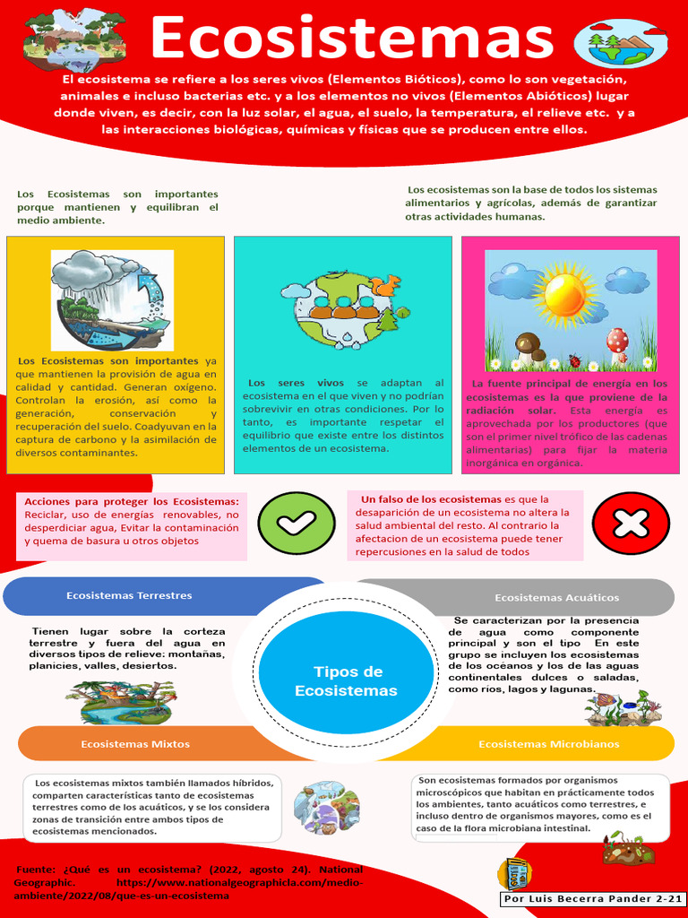 infografía Ecosistemas | PDF | Ecosistema | Suelo