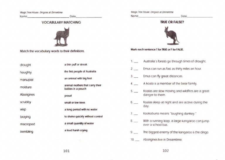 Dingoes at Dinnertime Workbook 1 | PDF