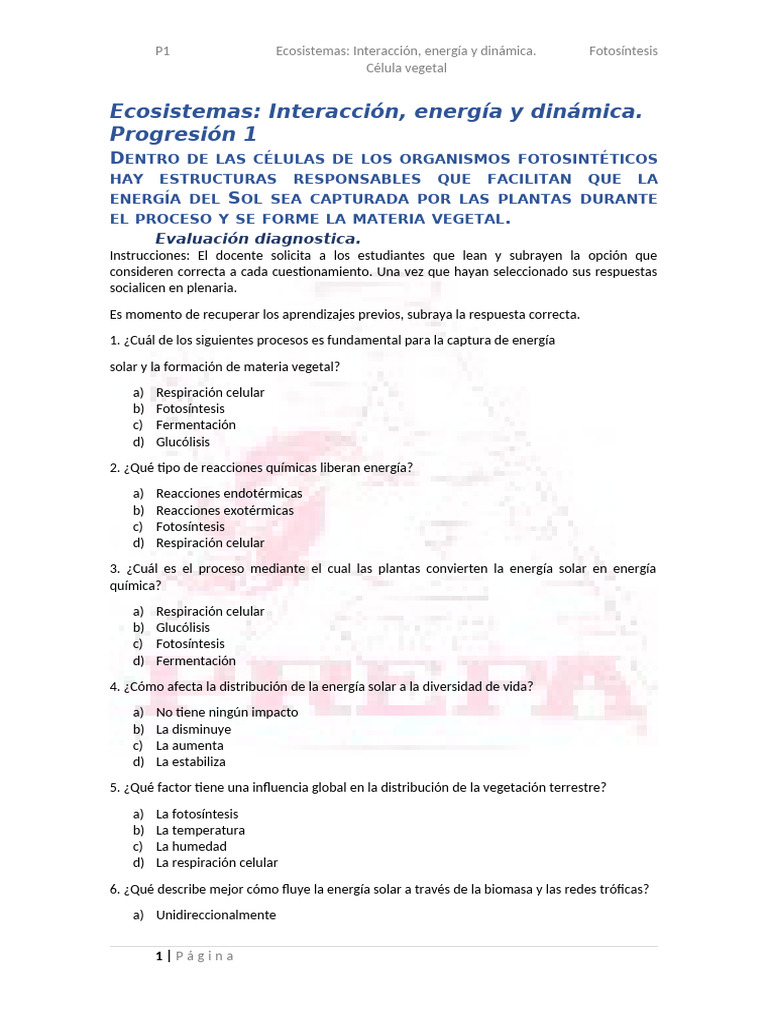 Ecosistemas Interaccion Energia y Dinamica | PDF | Fotosíntesis | Plantas