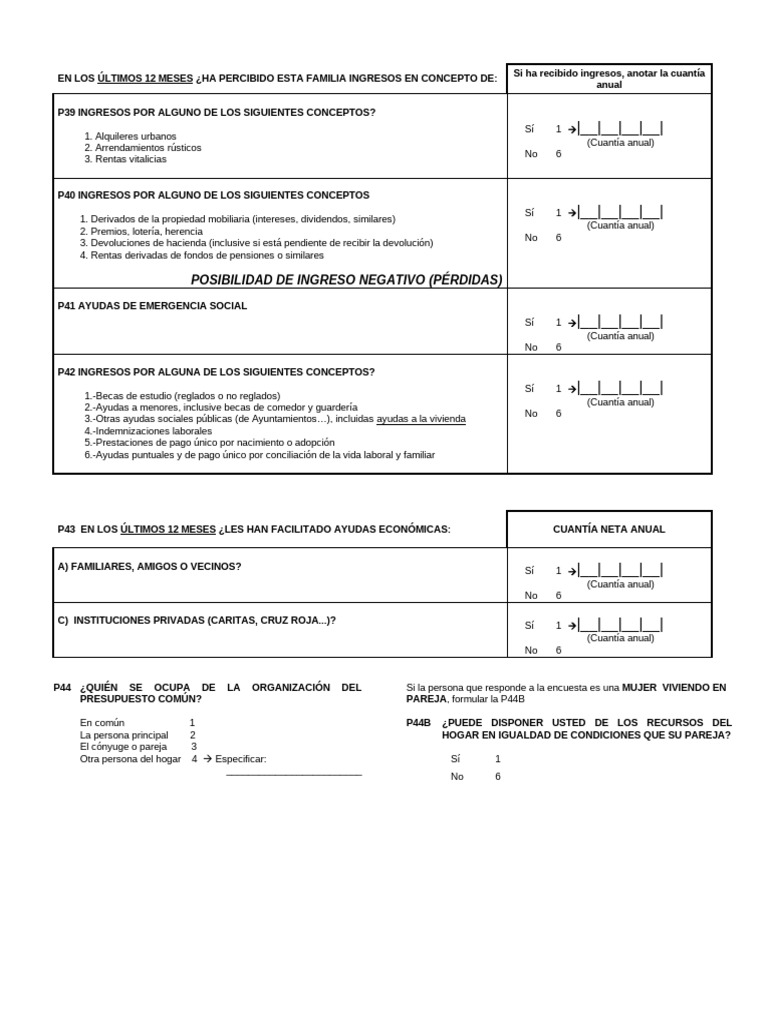 Cuestionario EPDS 2008. Base Hogares | PDF