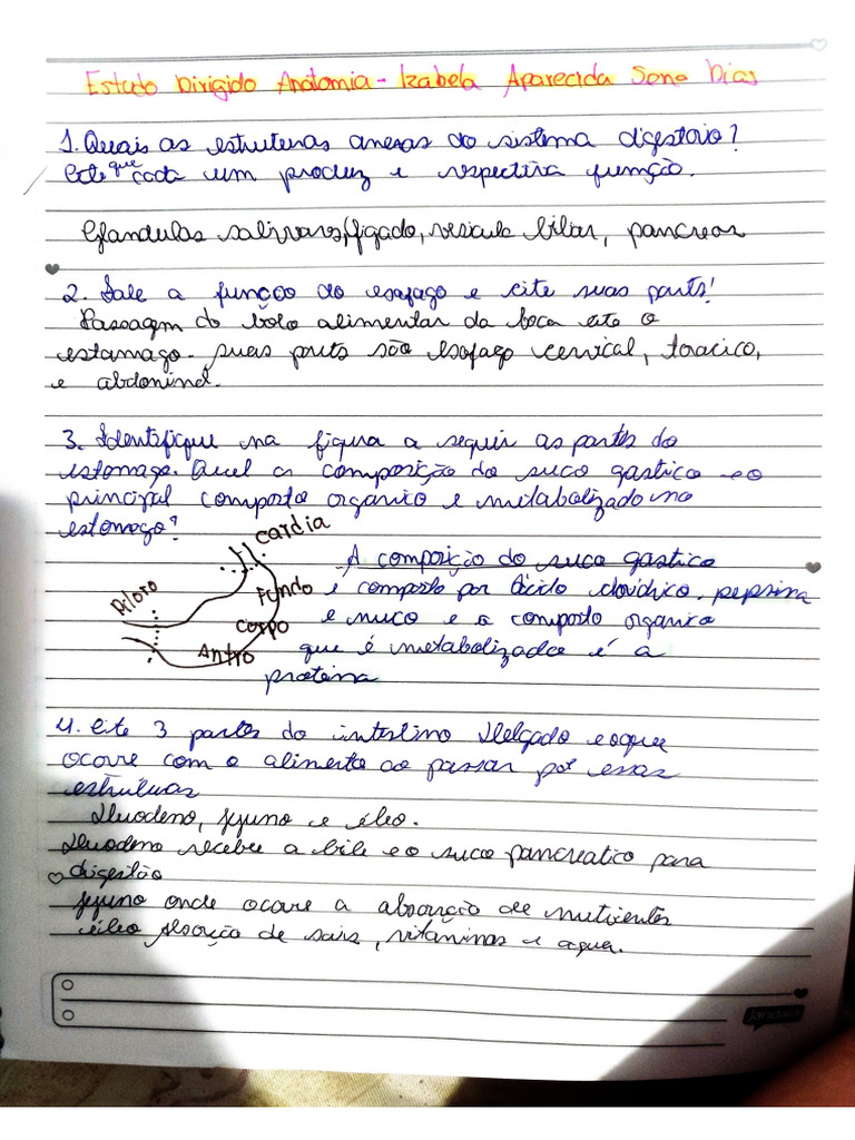 Estudos Dirigido Anatom | PDF