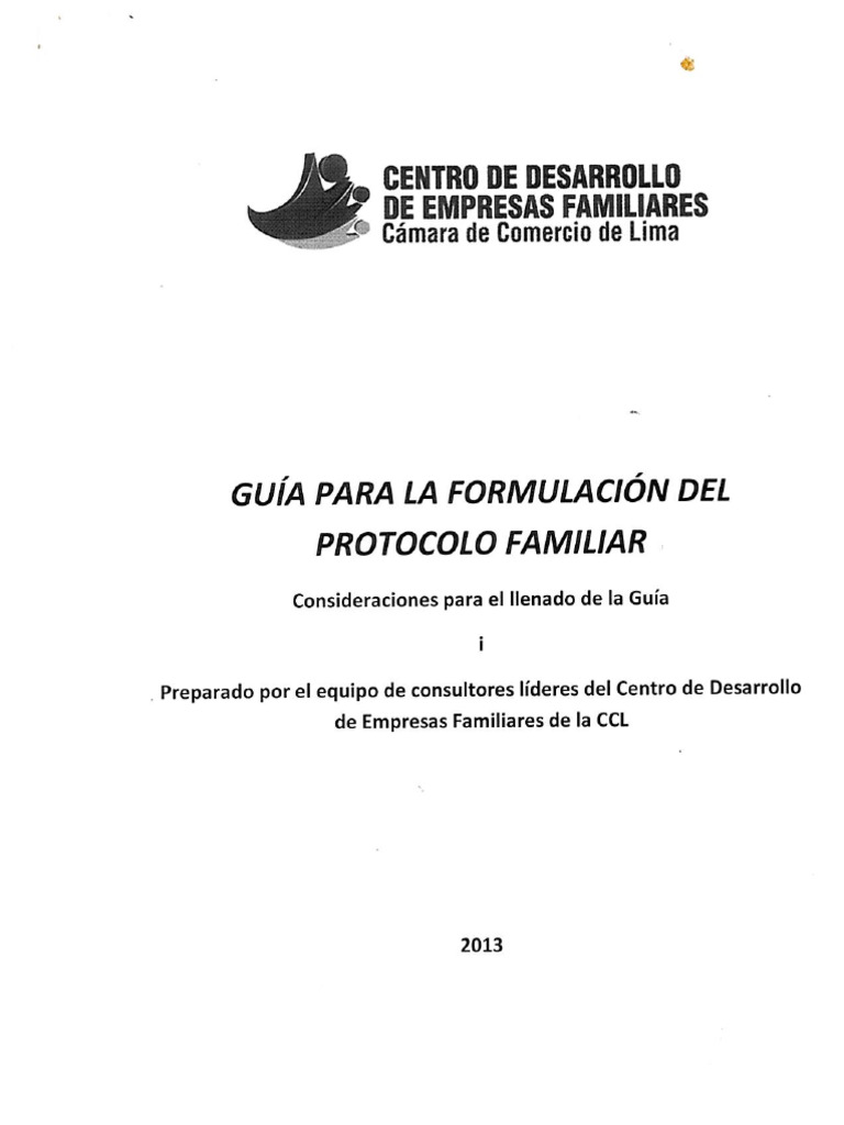 Guía para La Formulación Del Protocolo Familiar | PDF