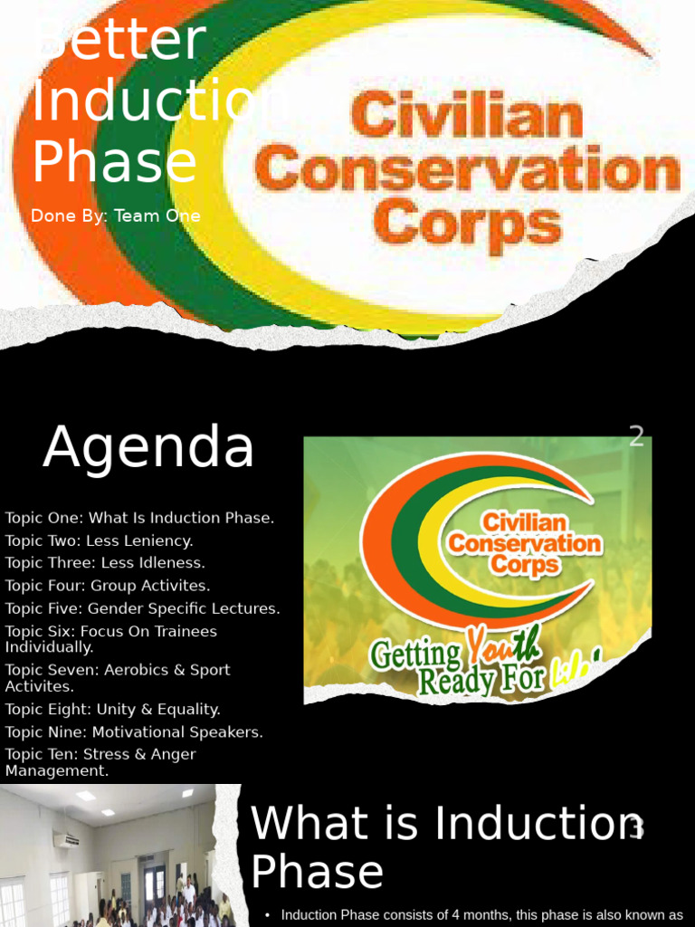 How to Better Induction Phase Team One | PDF | Anger | Behavioural Sciences