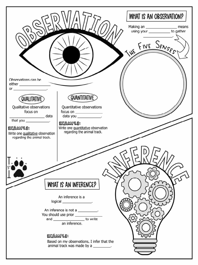 Observation vs. Inference (Notes) | PDF