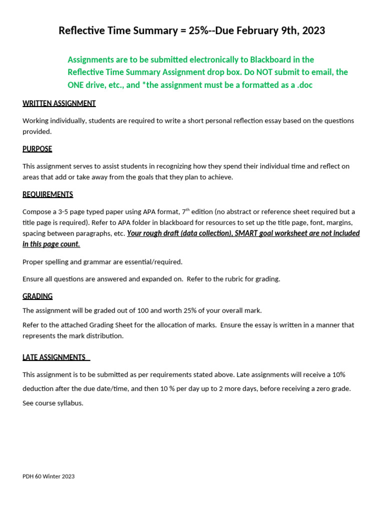Reflective Time Summary Assignment Guide | PDF | Goal