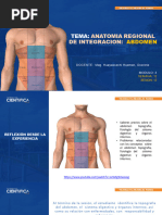 9 Cuadrantes y Sus Organos | PDF | Abdomen | Intestino grueso