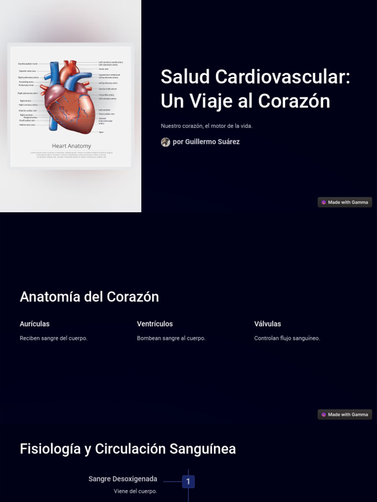 Salud Cardiovascular: Guía Completa | PDF | Corazón | Sistema circulatorio