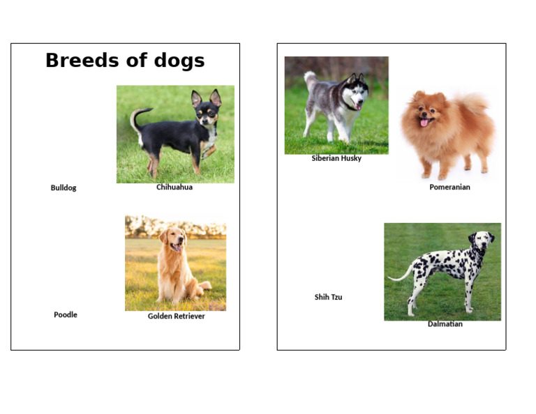 Breeds | PDF