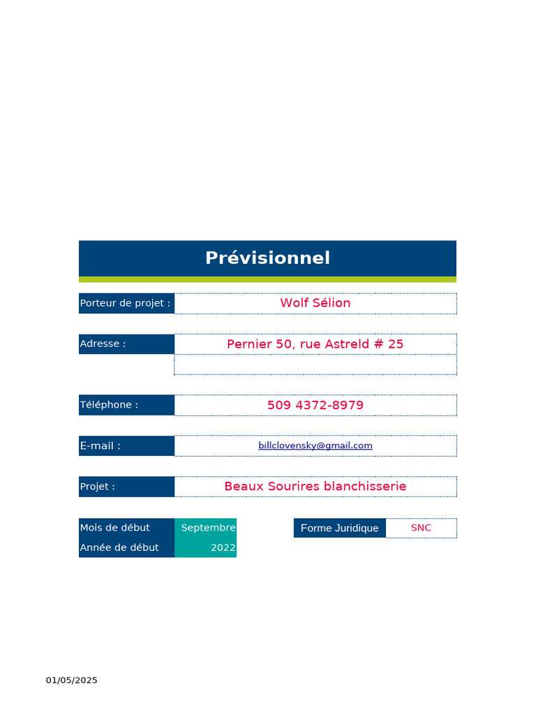 Modele Business Plan Previsionnel Financier Generaliste Cci 2015 Charte ...