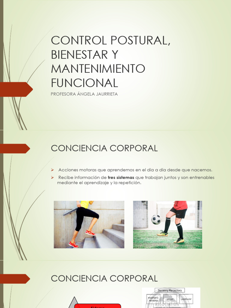 Teoría Tema 2 PDF | PDF | Sistema nervioso | Neurociencia