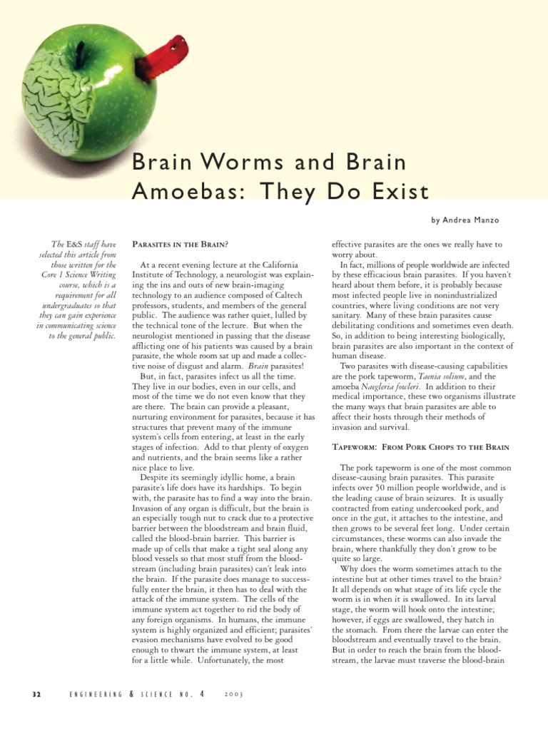 Brain Parasites: Threats and Mechanisms | PDF | Immune System | Phagocyte