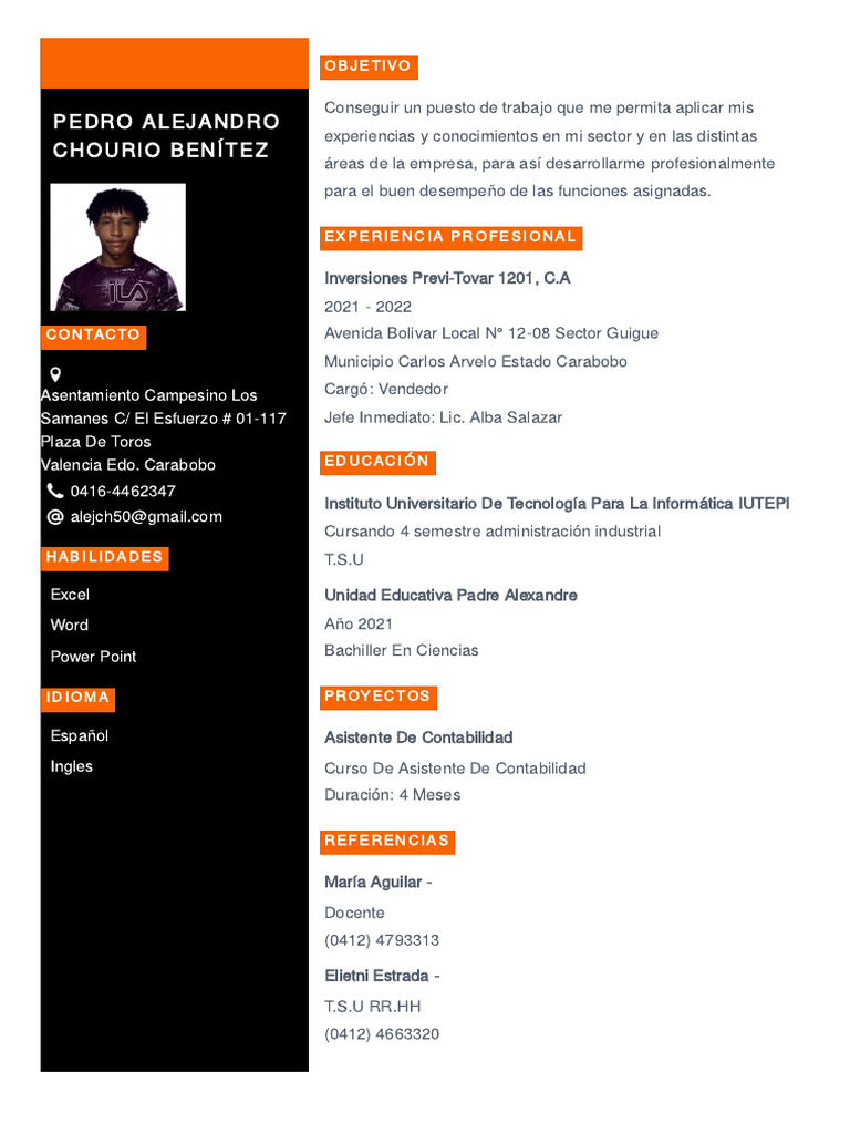 Pedro Alejandro Currículum 3 | PDF