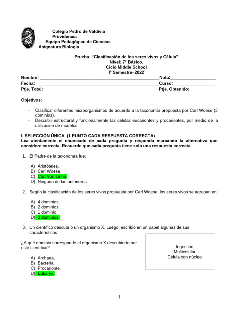 Prueba. 7°año Básico. 2022.clasificación de Los Seres Vivos, Célula. Cc. Forma B | PDF ...