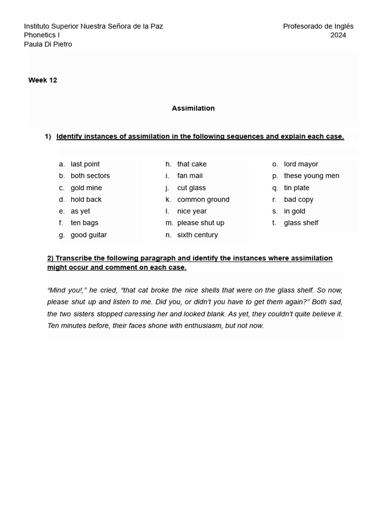 Assimilation Exercise 2024 | PDF