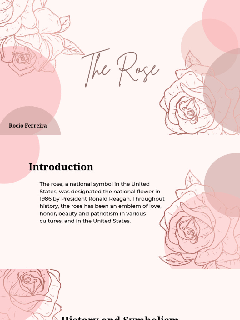 The Symbolism of the Rose in America | PDF