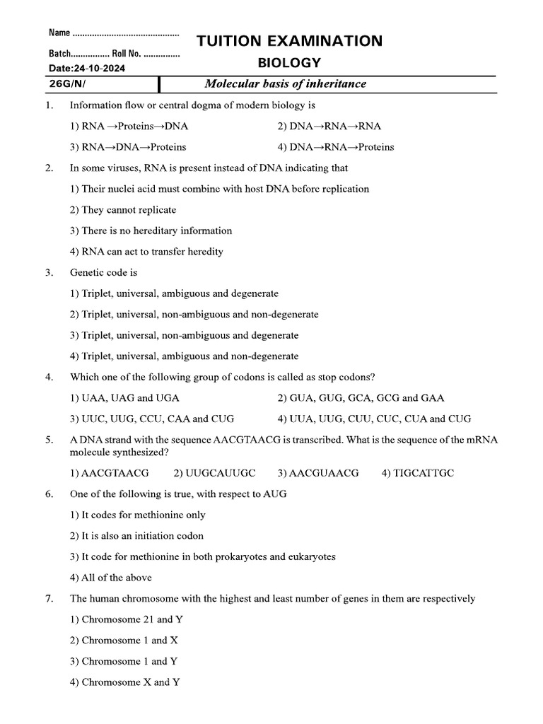 Molecular Basis of Inheritance-24!10!24 | PDF