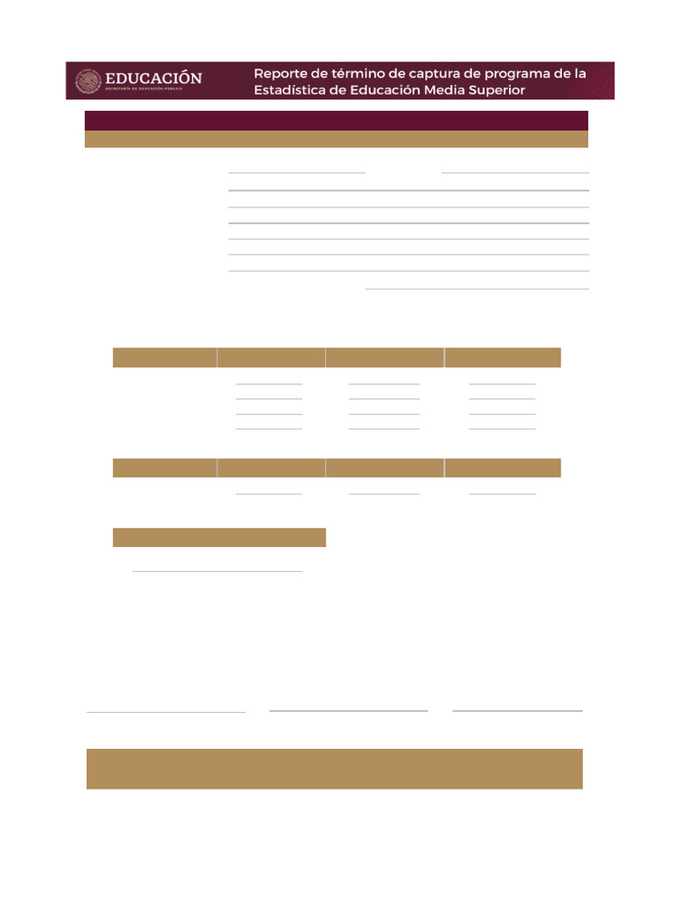 C911_ComprobanteCaptura_2024114 | PDF