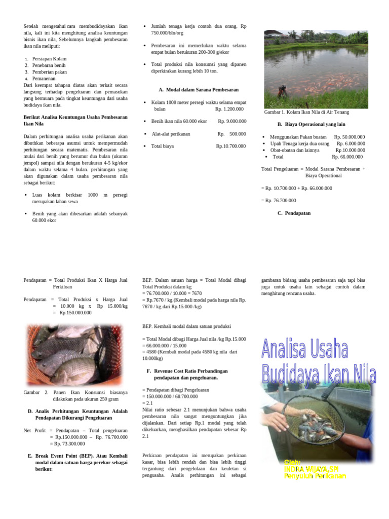 Folder 04-14 Analisa Usaha Budidaya Ikan Nila | PDF