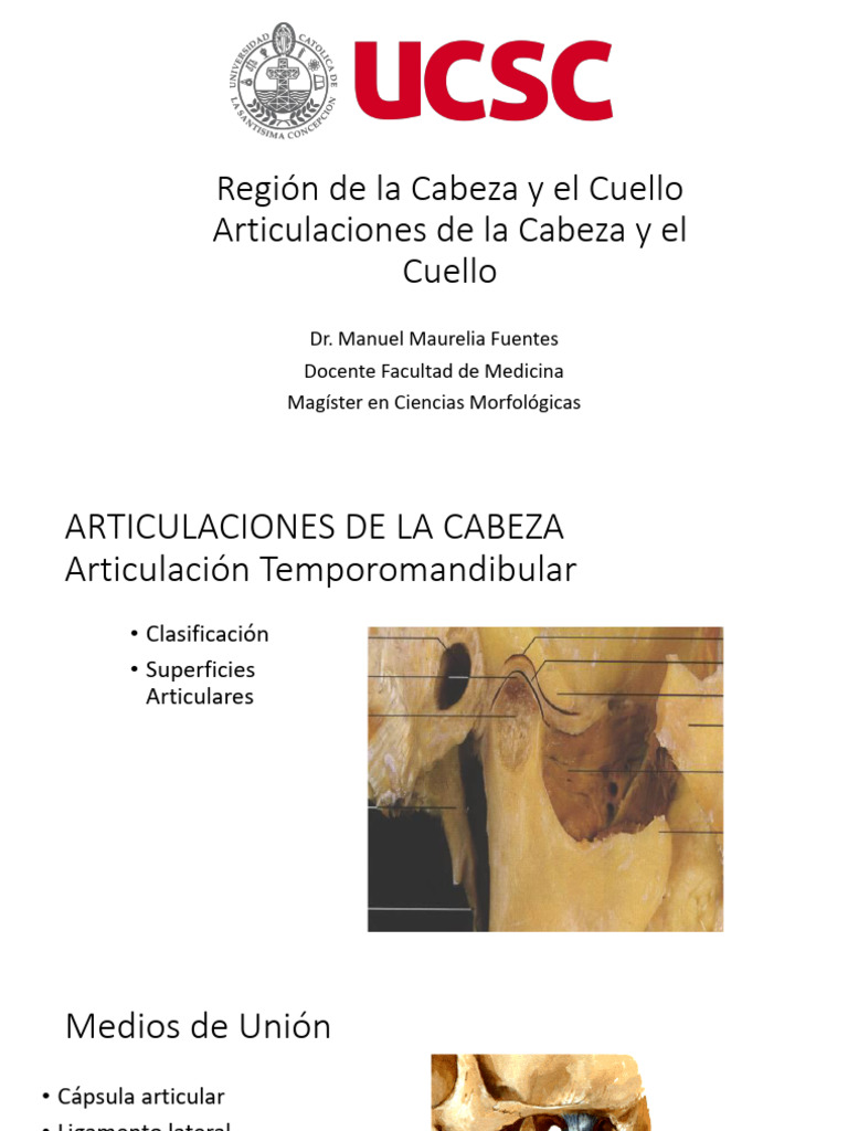 Clase 2 Articulaciones de La Cabeza y El Cuello | PDF