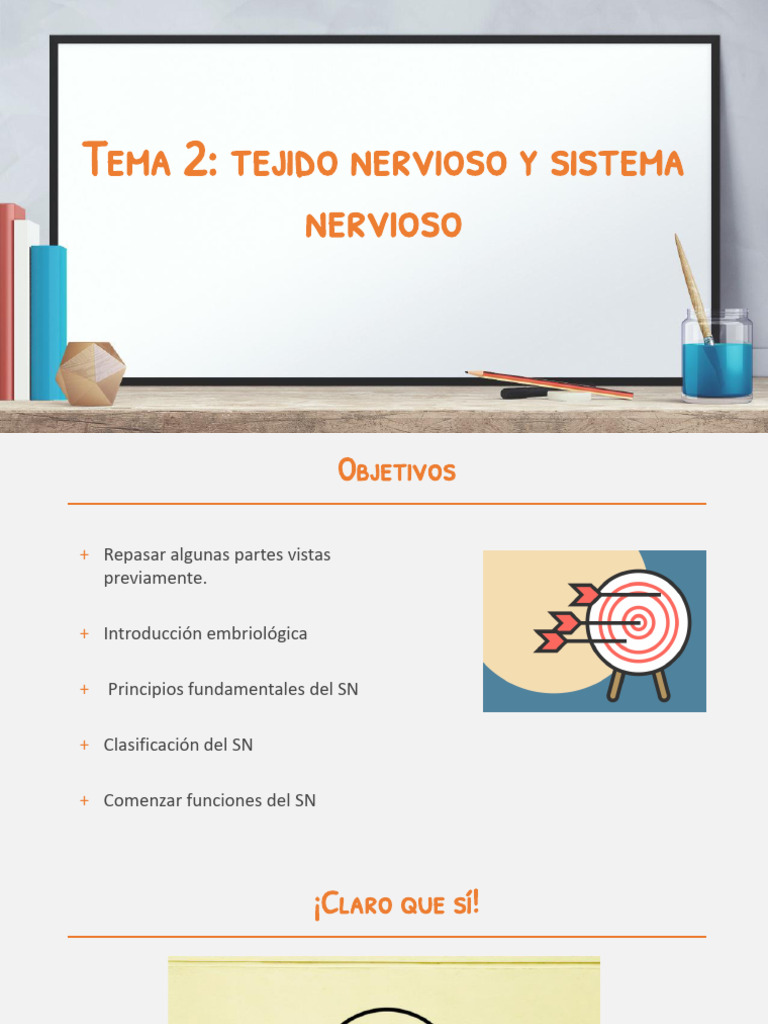 ANATOMOFISIOLOGÍA Y PATOLOGÍA BÁSICA: UT02 El Sistema Nevioso ...