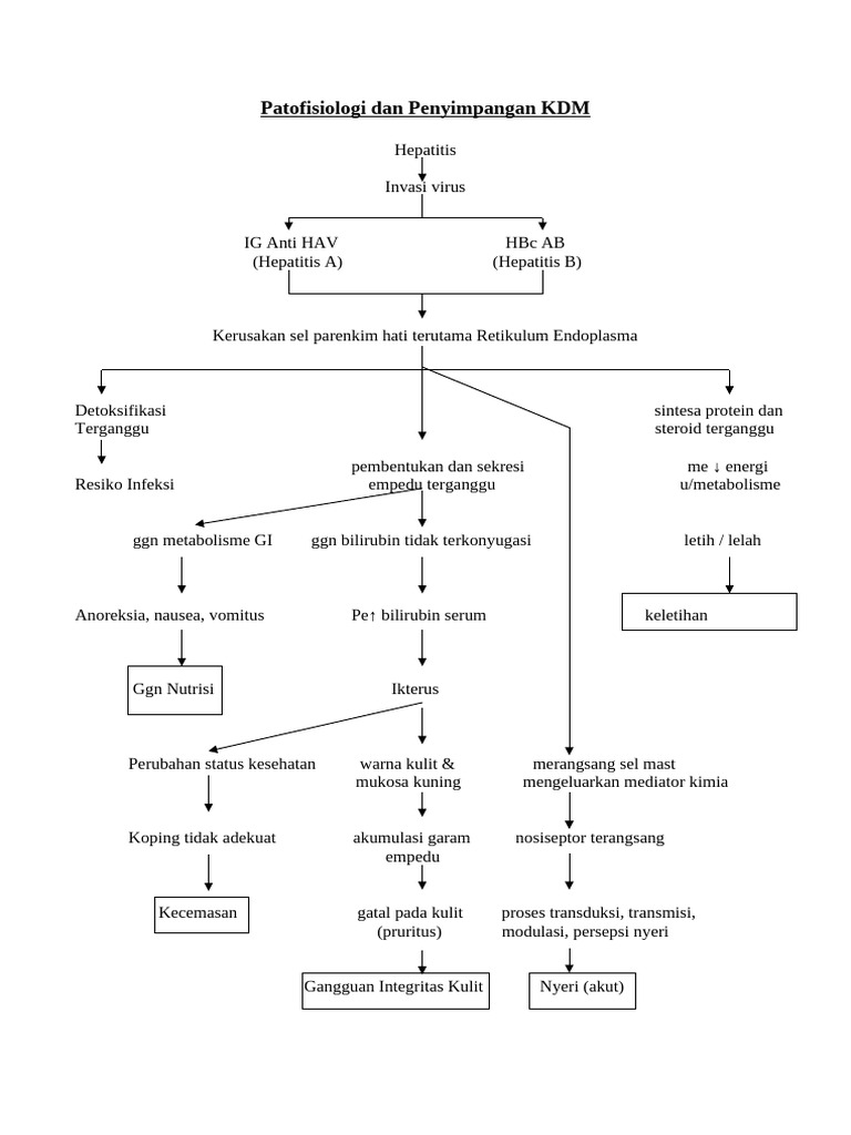 Askep HEPATITIS Doc | PDF