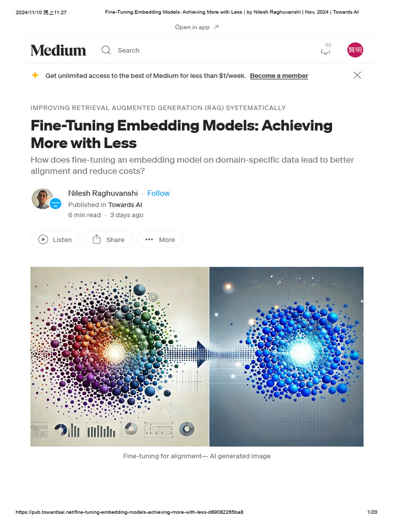 Fine-Tuning Embedding Models - Achieving More With Less - by Nilesh Raghuvanshi - Nov, 2024 ...