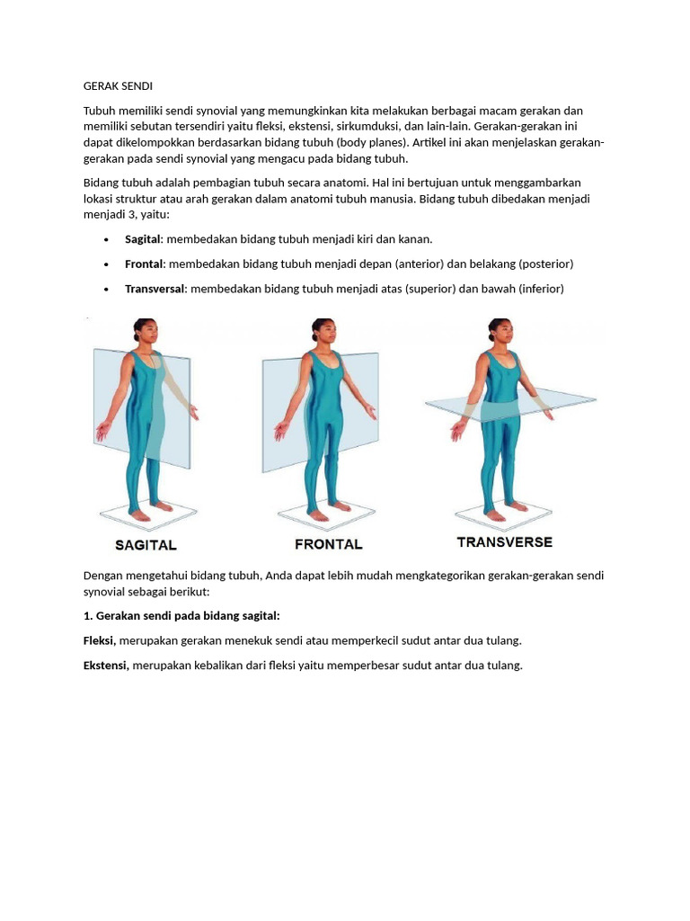 Gerak Sendi | PDF