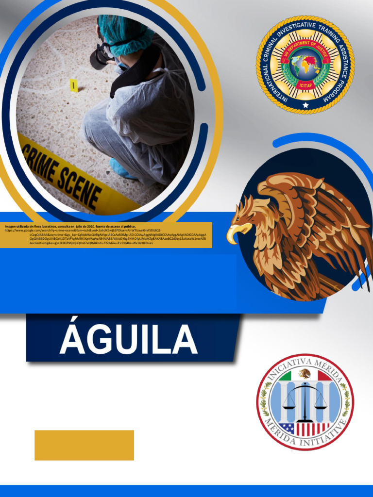 Revista Forense: Primera Edición ICITAP | PDF | Informática | Forense ...
