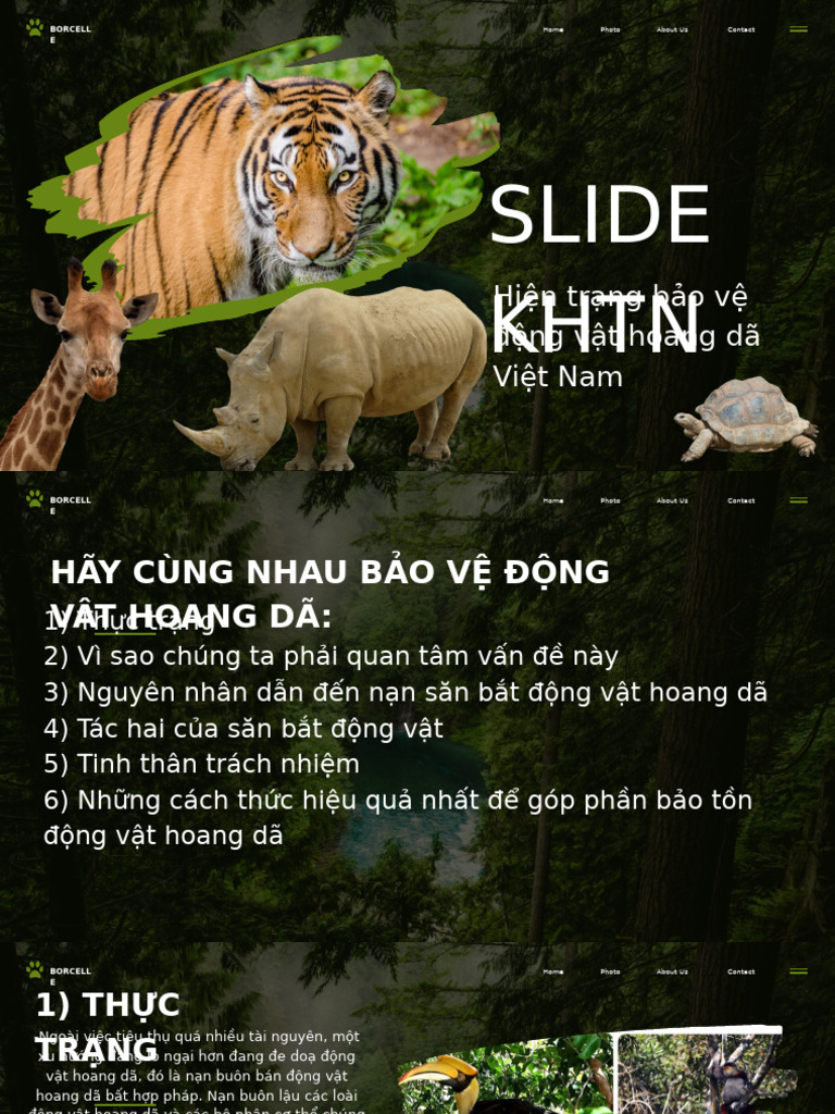 Slide KHTN | PDF