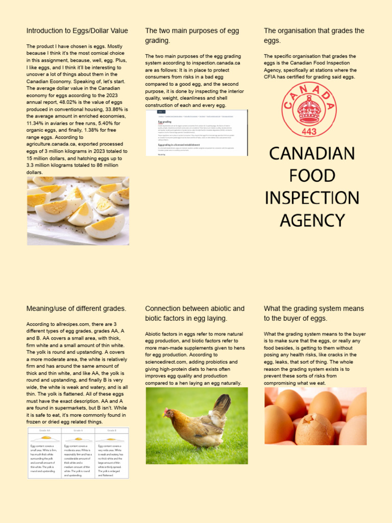 Gunnar's Egg Brochure (Mod 4) | PDF | Egg