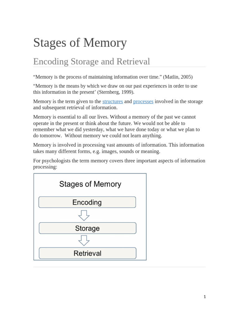 Stages of Memory (1) | PDF | Memory | Long Term Memory
