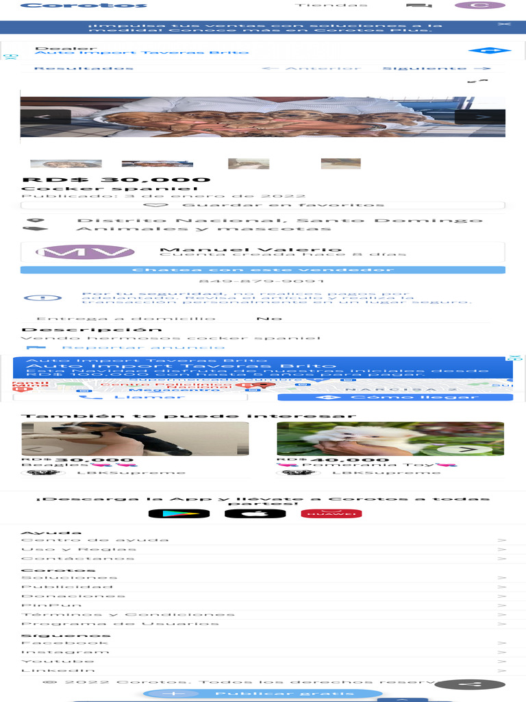 Corotos Cocker Spaniel | PDF