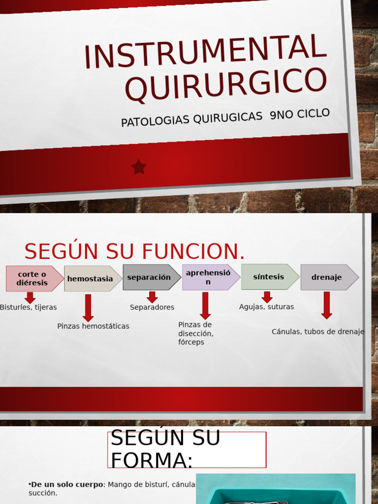 Instrumental Quirurgico Expo-Practica | PDF | Endoscopia
