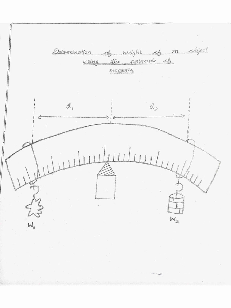 10th TN Science Experiment Observation | PDF