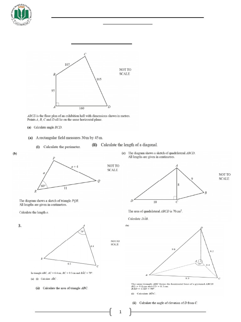 Trigonometry Work Sheet #1 Week 1 of Revision | PDF