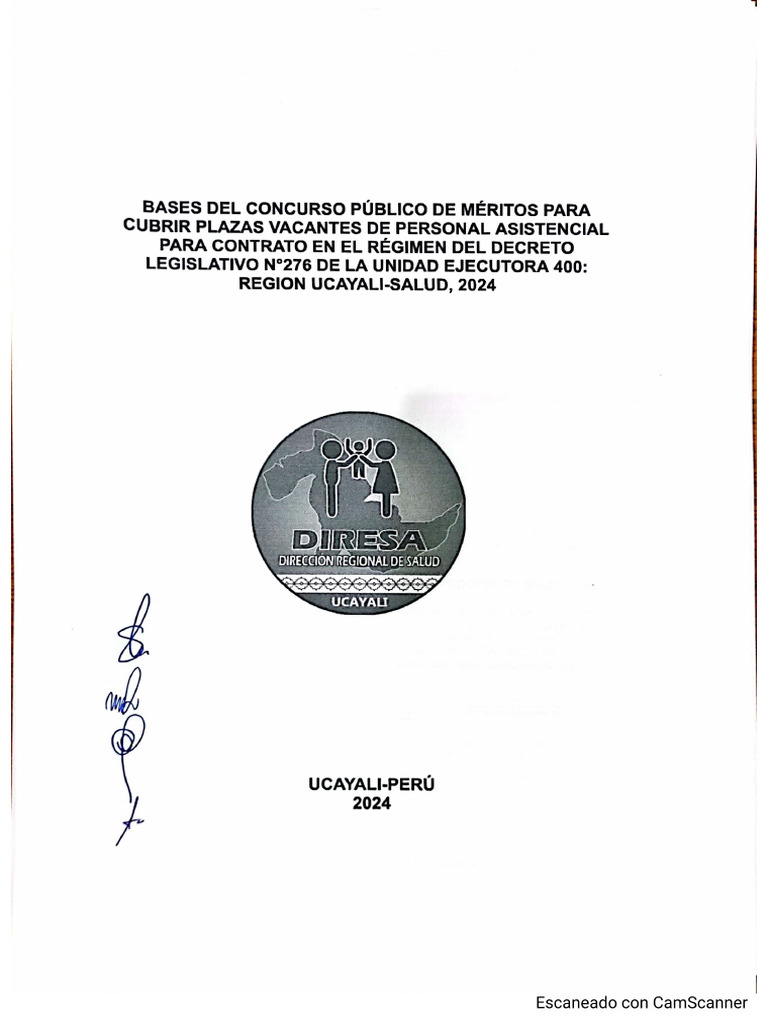 2 Bases Concurso Dl276 Diresa Ucayali | PDF