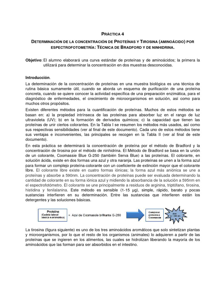 Prac 4 Biocel | PDF | Proteínas | Sustancias químicas